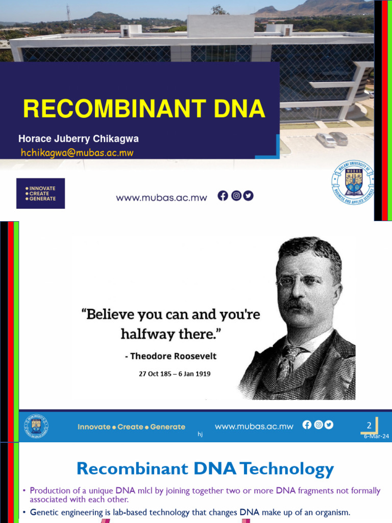 Recombinant DNA (Part 1) | PDF | Restriction Enzyme | Recombinant Dna