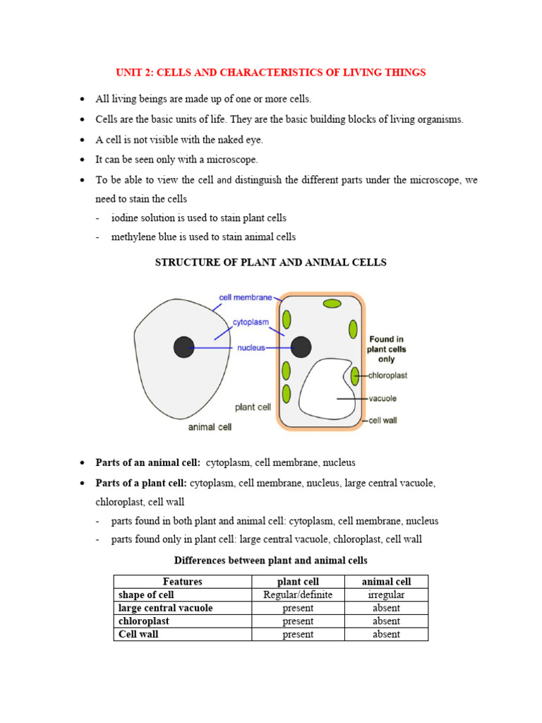 Cells and Characteristics of Life | PDF | Cell (Biology) | Stimulus ...
