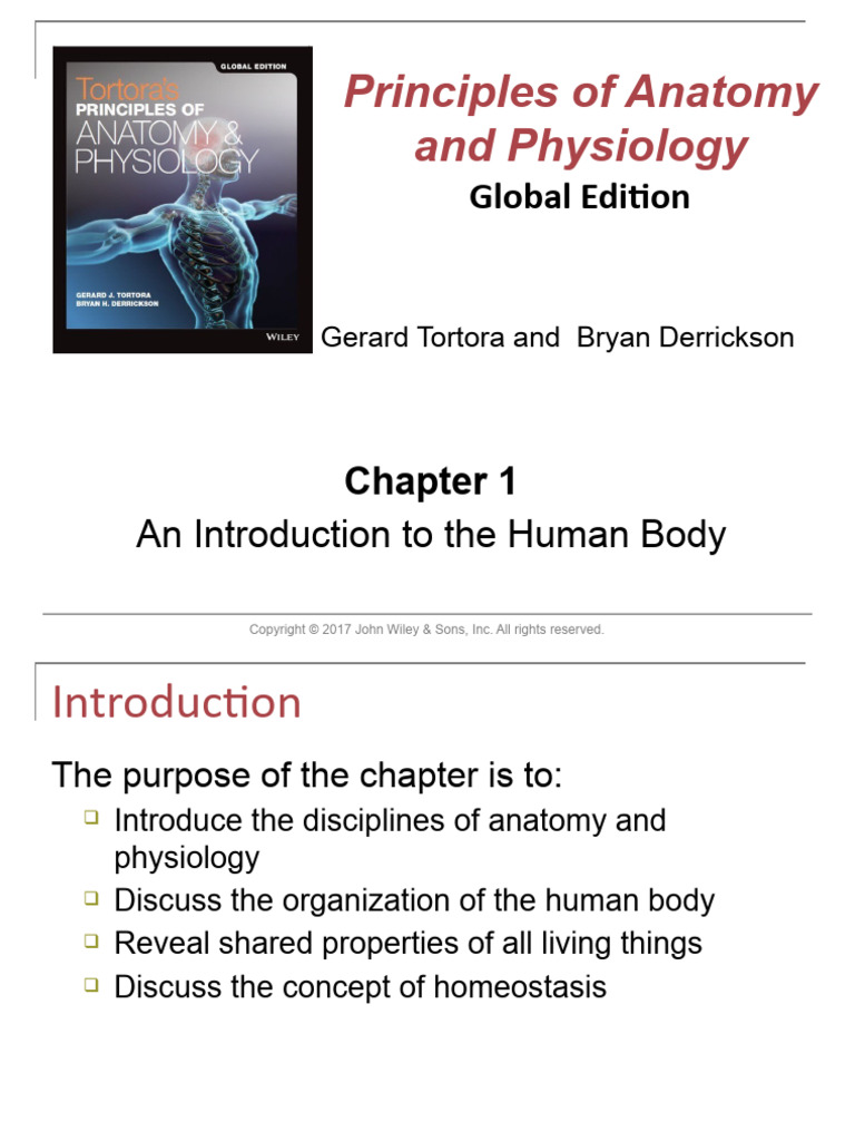 Intro To Human Anatomy | Download Free PDF | Biology | Anatomy