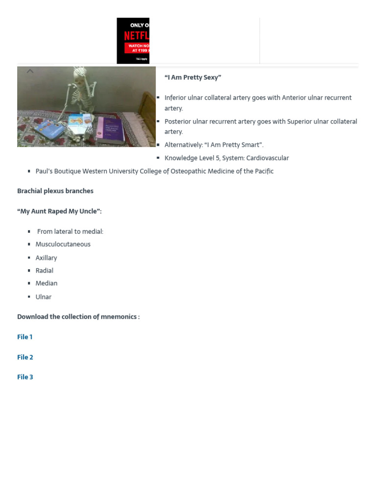 Anatomy 3 | PDF