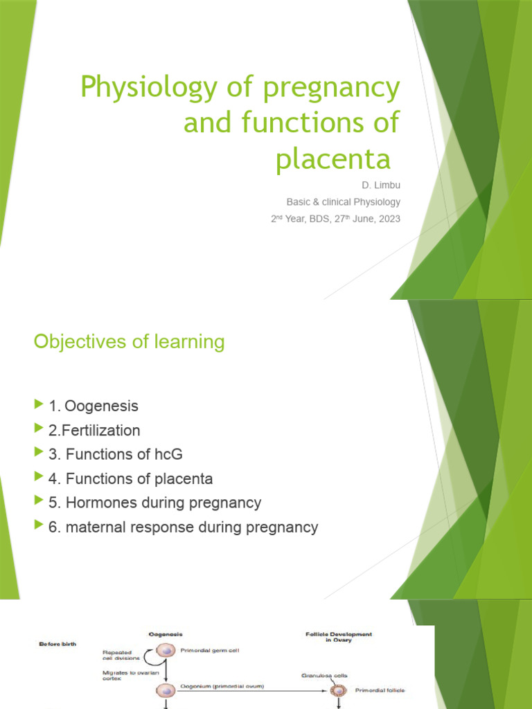 Physiology of Pregnancy & Functions of Placenta-1 | PDF | Placenta | Progesterone