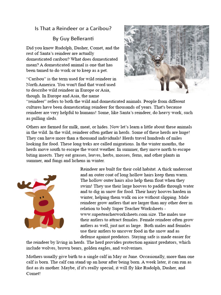 Reindeer vs. Caribou: Key Differences Explained | PDF | Reindeer | Deer