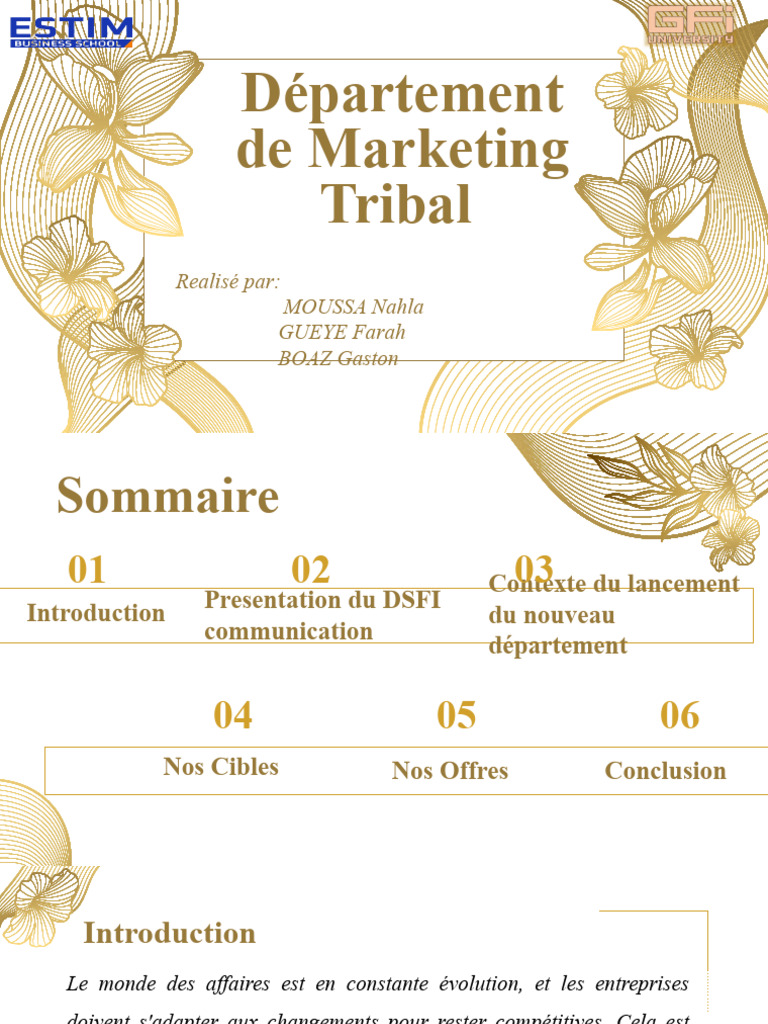 Tribal | PDF | Commercialisation | Marque