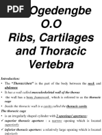 Apical Lordotic Chest X-Ray Positioning | PDF | Thorax (Human Anatomy ...