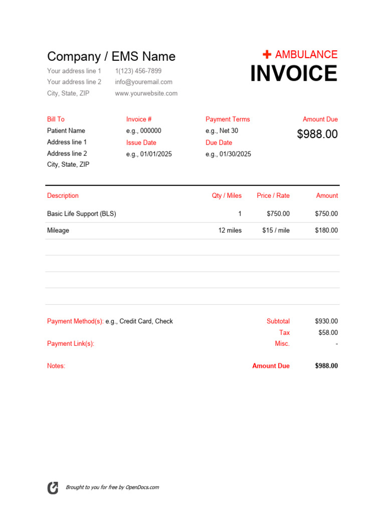 Ambulance Invoice Template | PDF