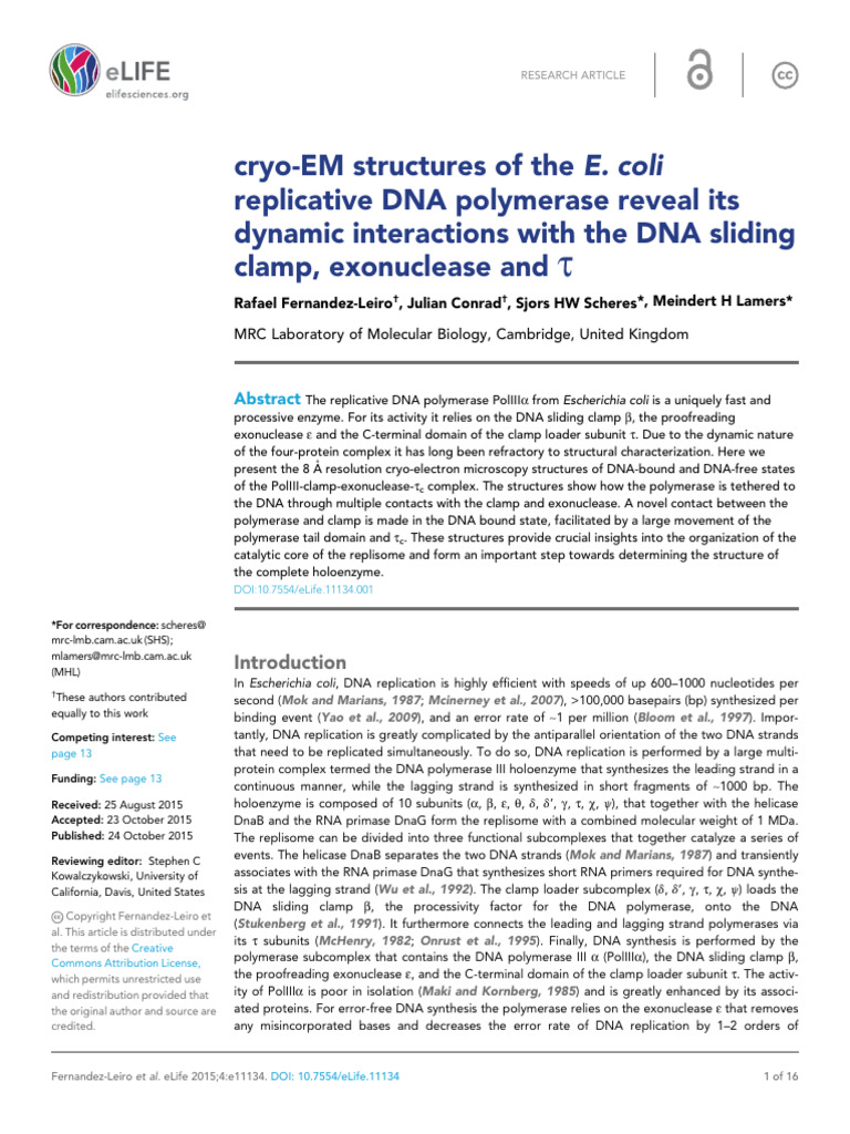 cryo-EM Structures of The E. Coli Replicative DNA Polymerase Reveal Its ...