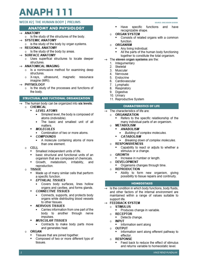 Prelims Anaphy | PDF | Epithelium | Endoplasmic Reticulum