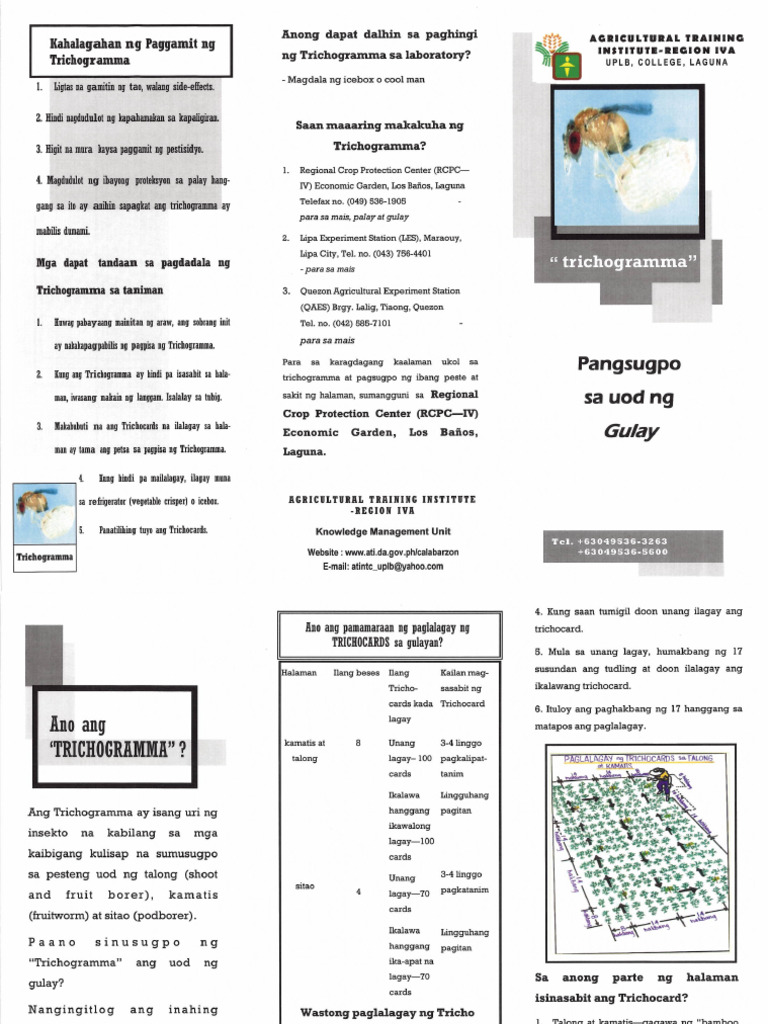 Pangsupo Sa Uod NG Gulay | PDF