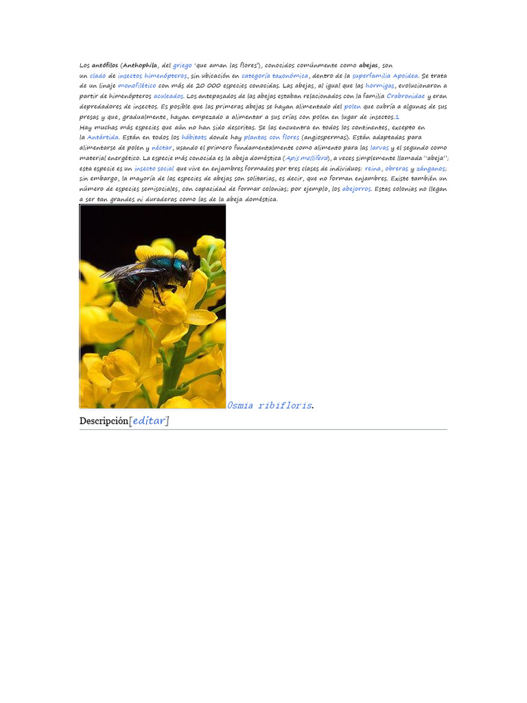 Los antófilos | PDF | Abejas | Eusocialidad