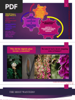 Combining Form Meaning Example Meaning of Term Angi/o Vas/o Aort/o ...