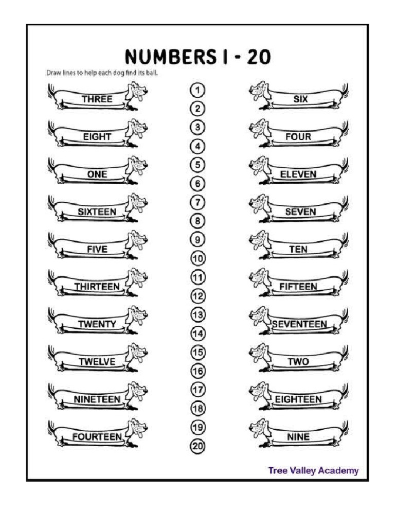 Actividad Numbers 1-20 - Segundo | PDF