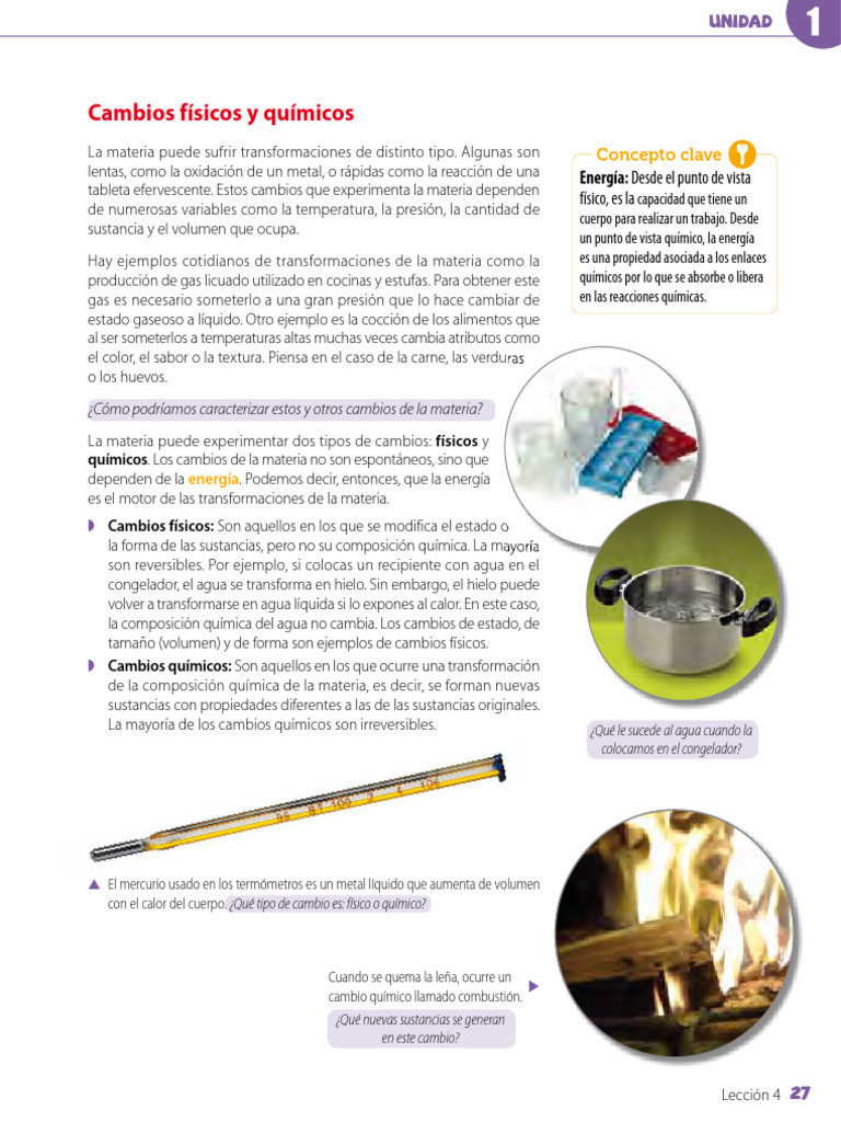 Cambios Físicos y Químicos de la Materia | PDF | Agua | Importar