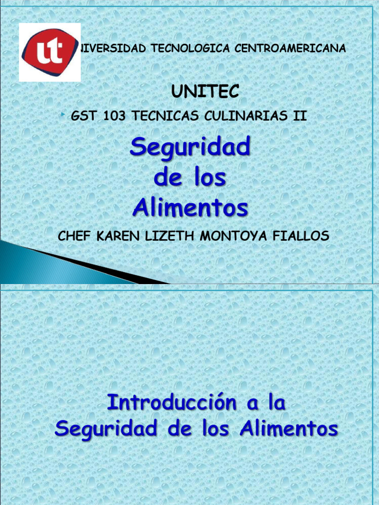 Ppt Seguridad Alimentaria | PDF | Alimentos | Salud pública