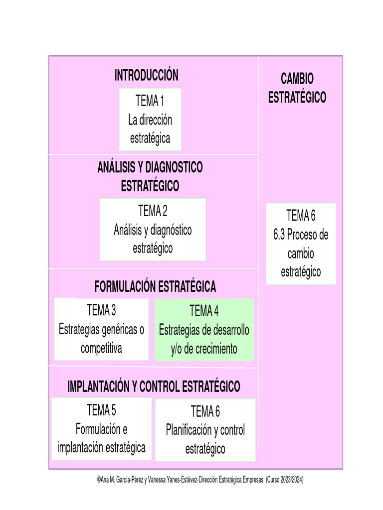 Tema 4 Estrategias De Desarrollo Y Crecimiento Pdf Business