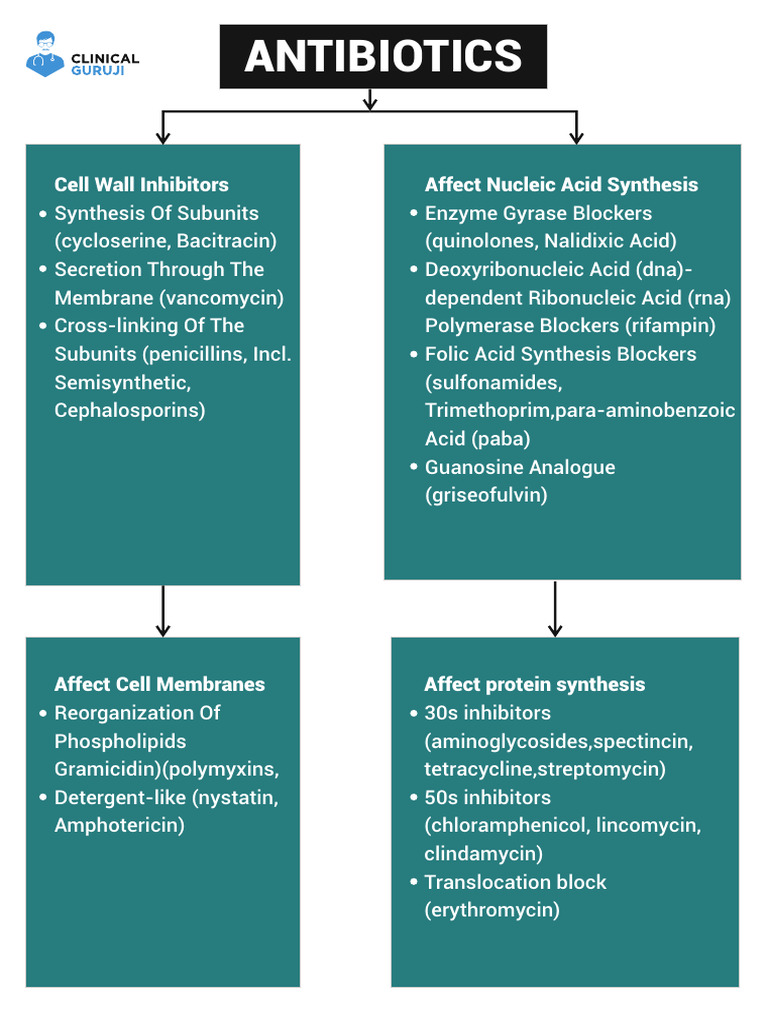 Antibiotics Mindmap | PDF | Gram Negative Bacteria | Bacteria