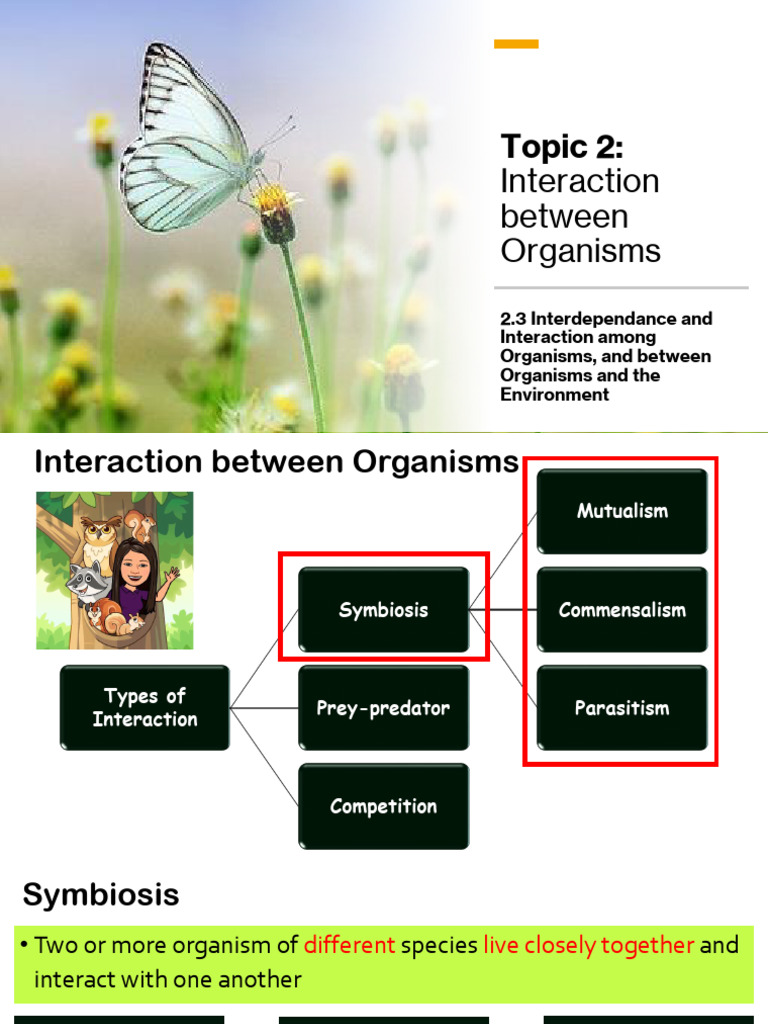 2.3 (B) Interaction Between Organisms | PDF | Symbiosis | Biological ...