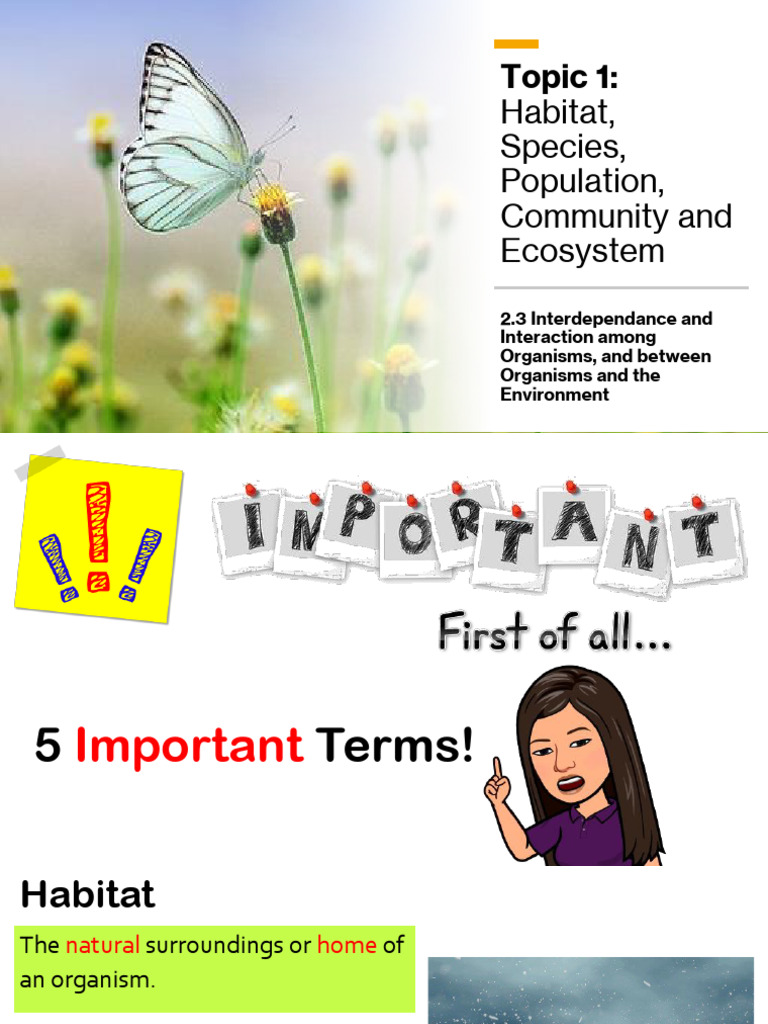 2.3 (A) Habitat, Species, Population, Community, Ecosystem | PDF ...