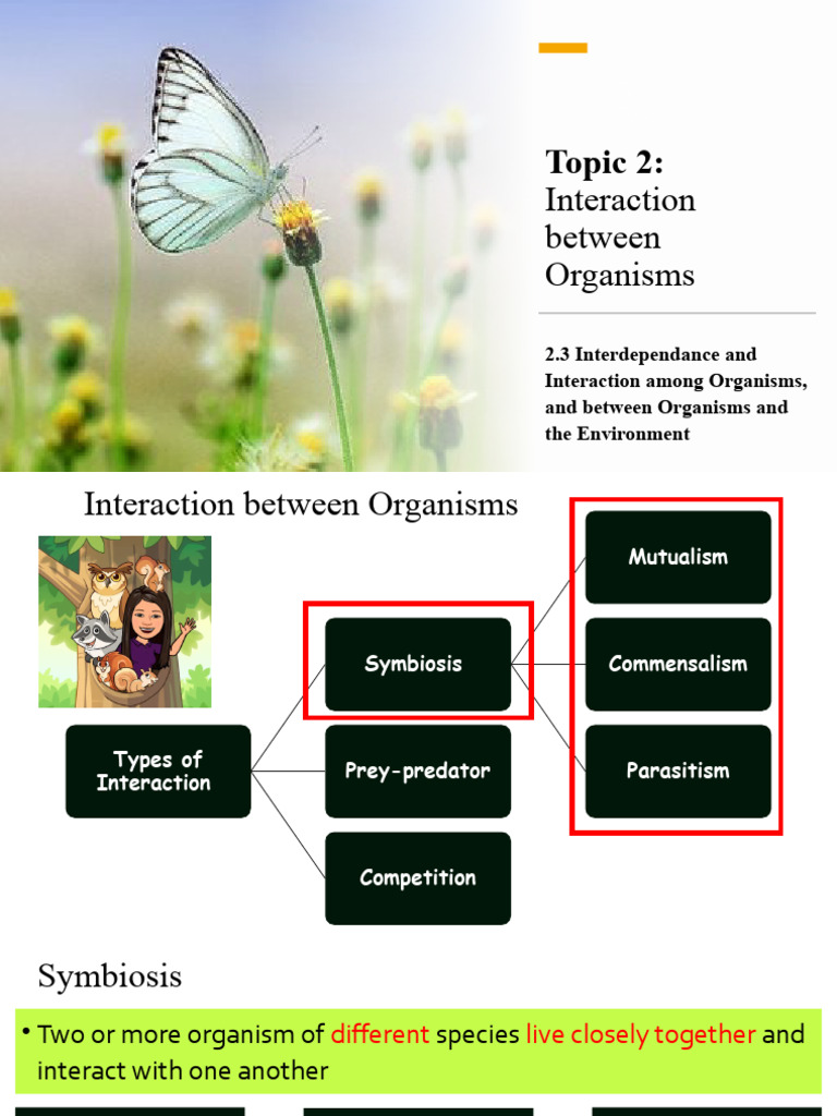 2.3 (B) Interaction Between Organisms | PDF | Symbiosis | Biological ...