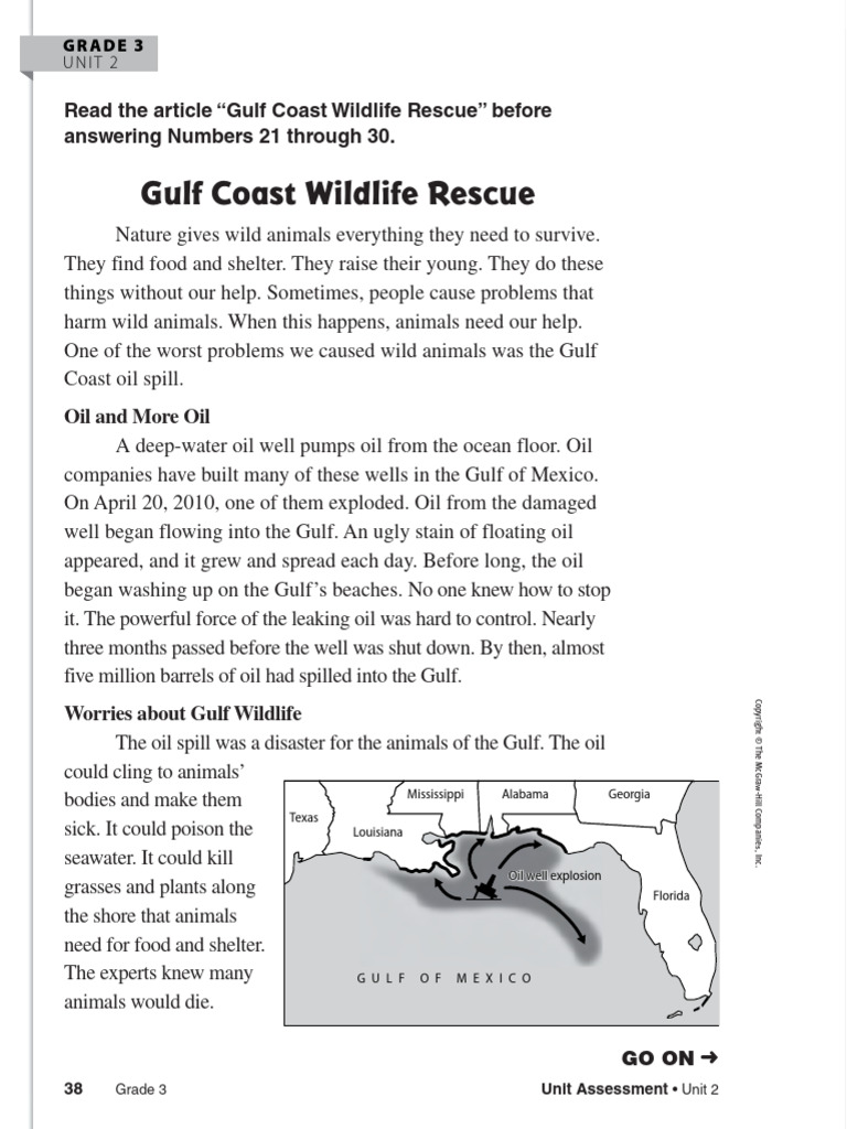 T4 Gulf | PDF | Gulf Of Mexico | Plural