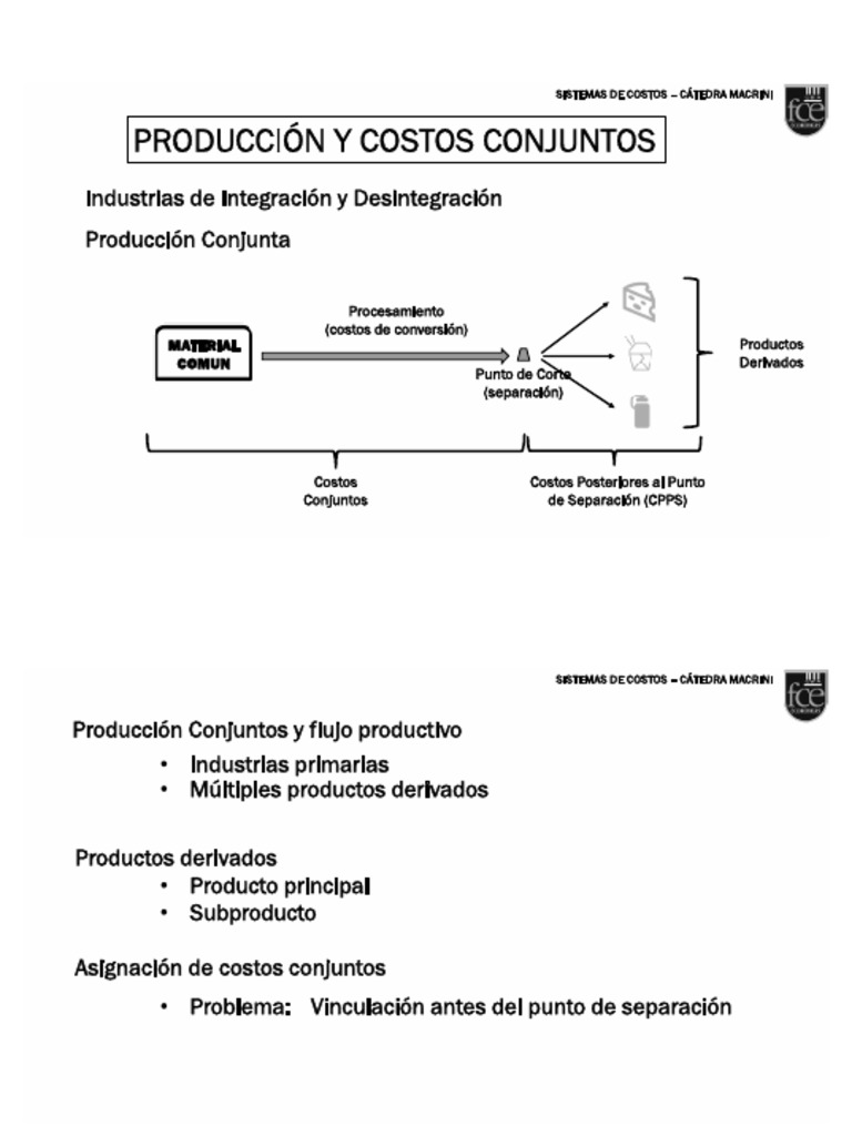 6. Costos Conjuntos | PDF