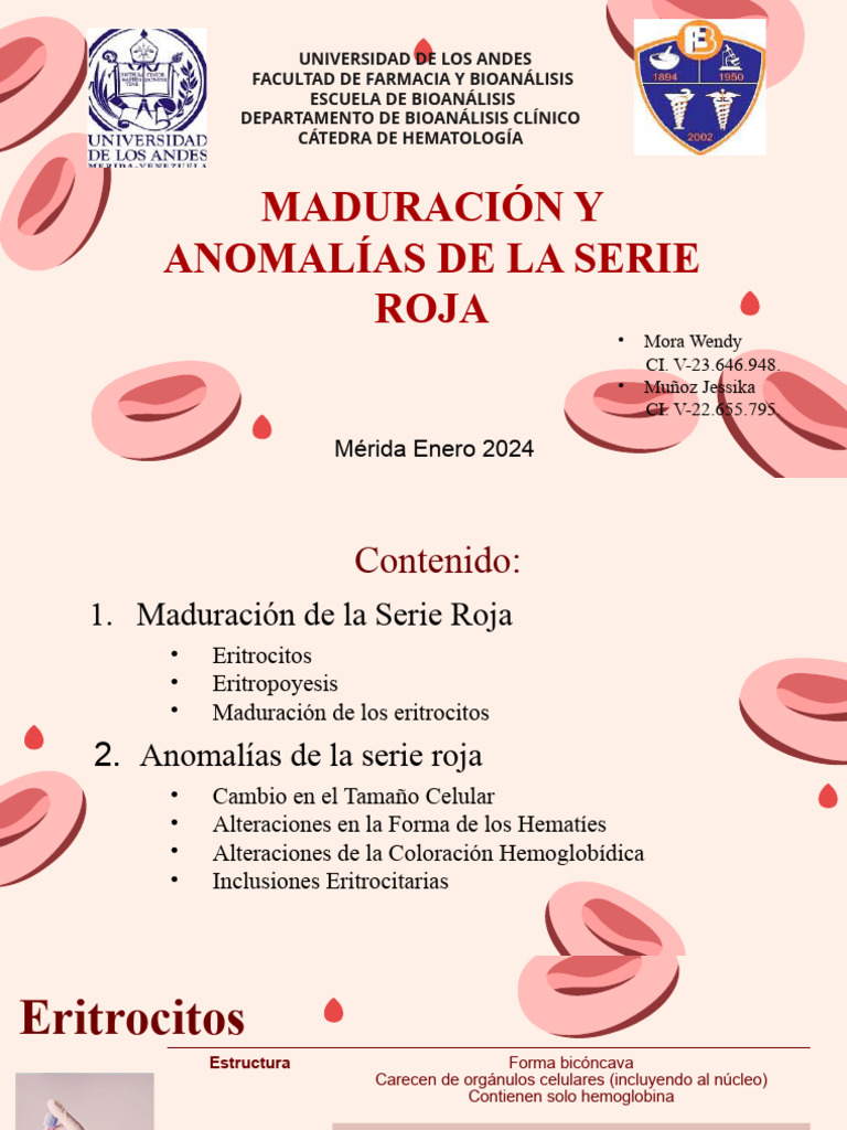 Maduración y Anomalias de La Serie Roja | PDF | Glóbulo rojo | Citoplasma