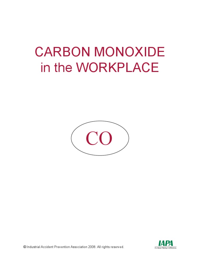 Carbon Monoxide in The Workplace | PDF | Exhaust Gas | Combustion