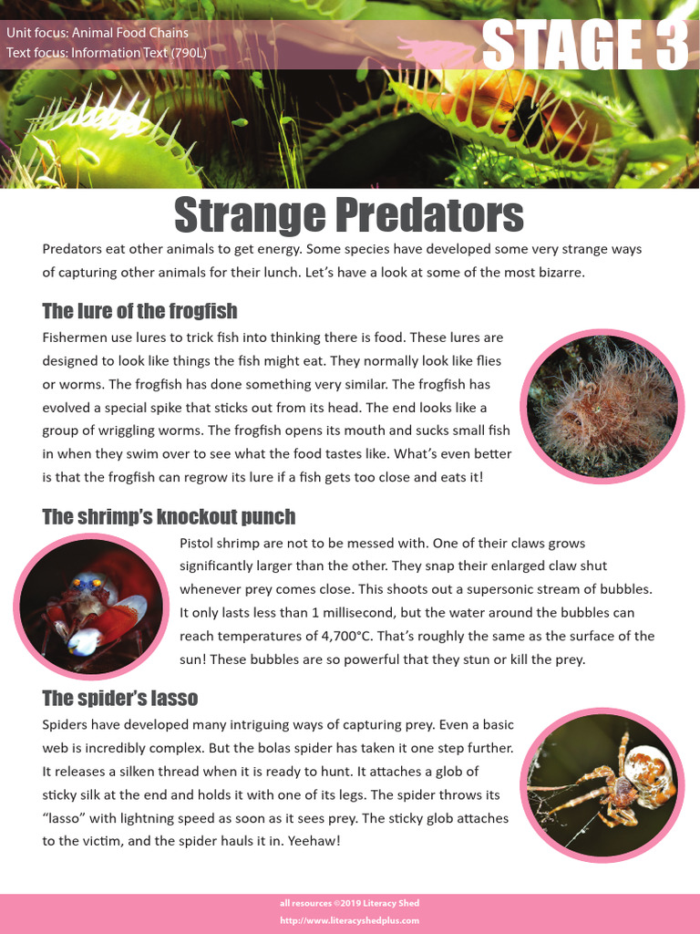 Strange Predators Stage 3 Comp - Comprehension Pack | PDF | Predation ...