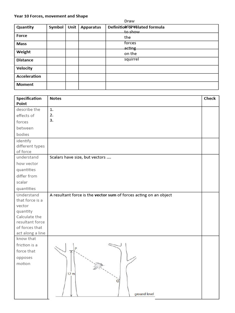 Year 10 Forces and Motion Concepts | PDF | Force | Acceleration