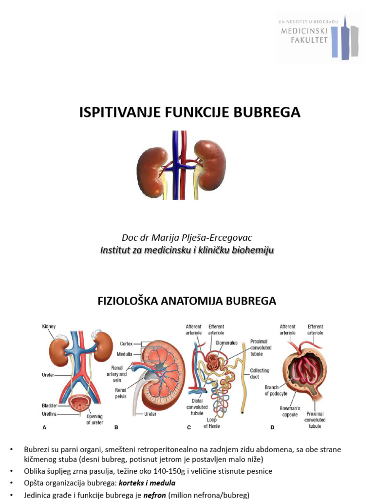 Ispitivanje Funkcije Bubrega Klinicka Biohem | PDF