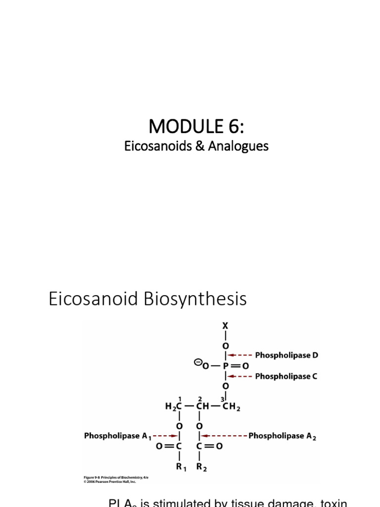 VMUF 6 Eicosanoids and Analogues | PDF