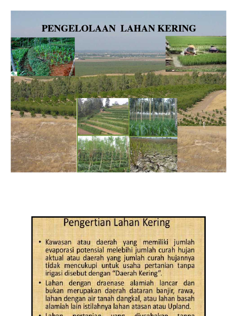 Pengelolaan Lahan Kering | PDF