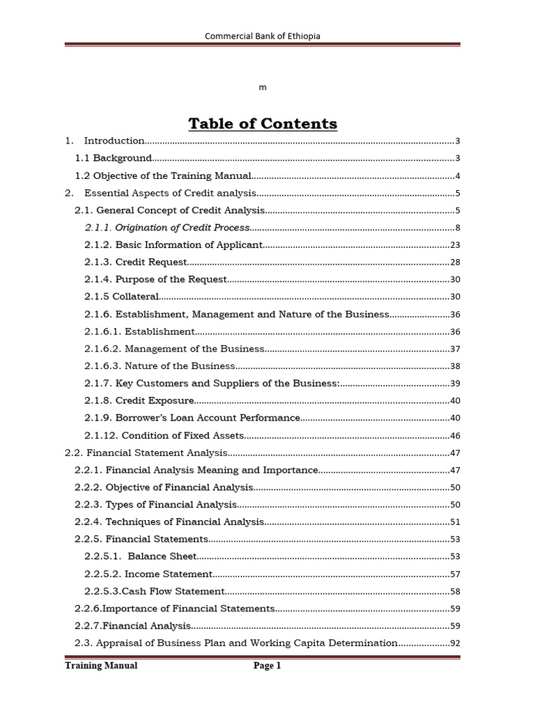 CA Training Manual (1draft) | PDF | Finance & Money Management | Credit