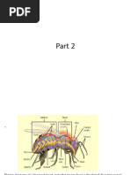 Grade 12 Evolution Summary Notes | PDF | Evolution | Life