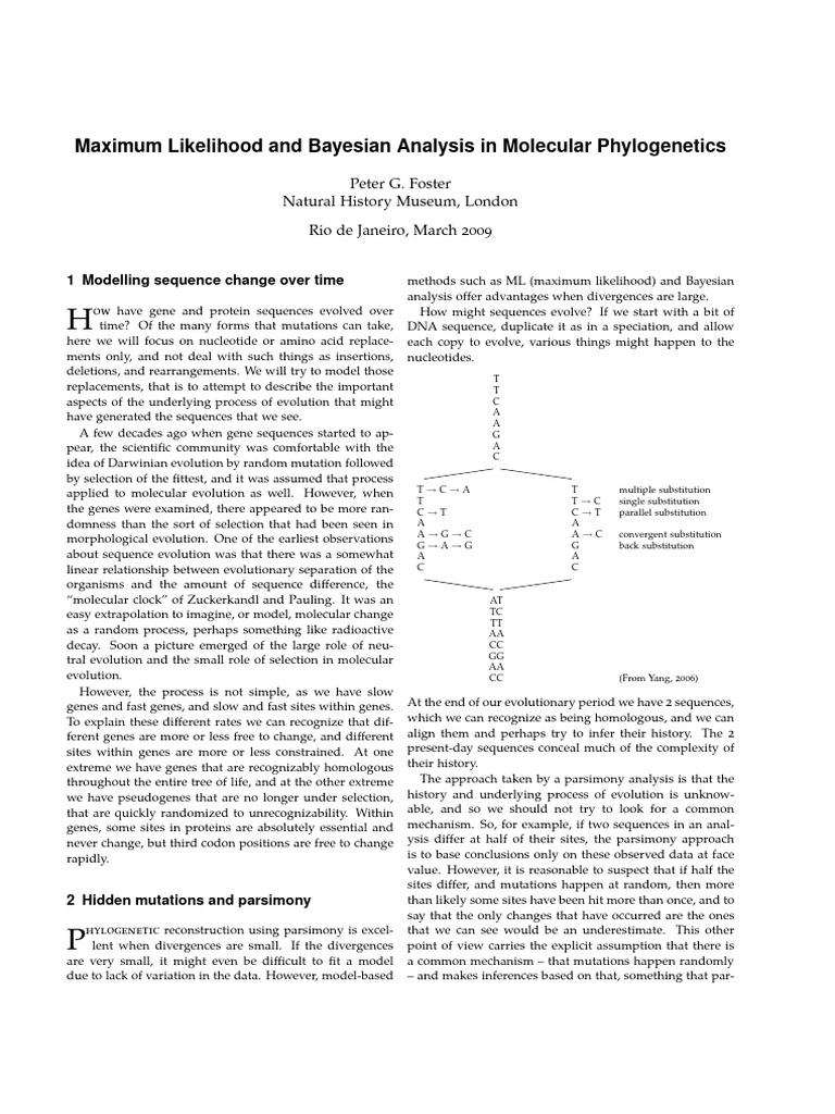 Maximum Likelihood and Bayesian Analysis in Molecular Phylogenetics | PDF