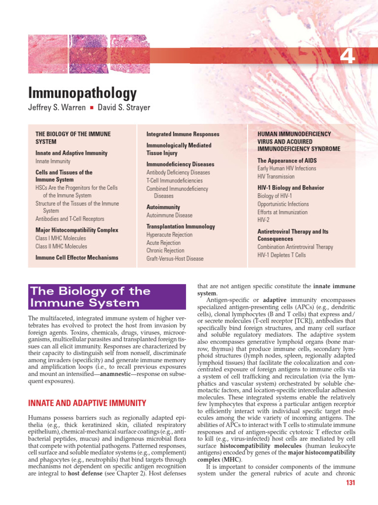 Immune System Biology & Immunity | PDF | Immune System | T Cell