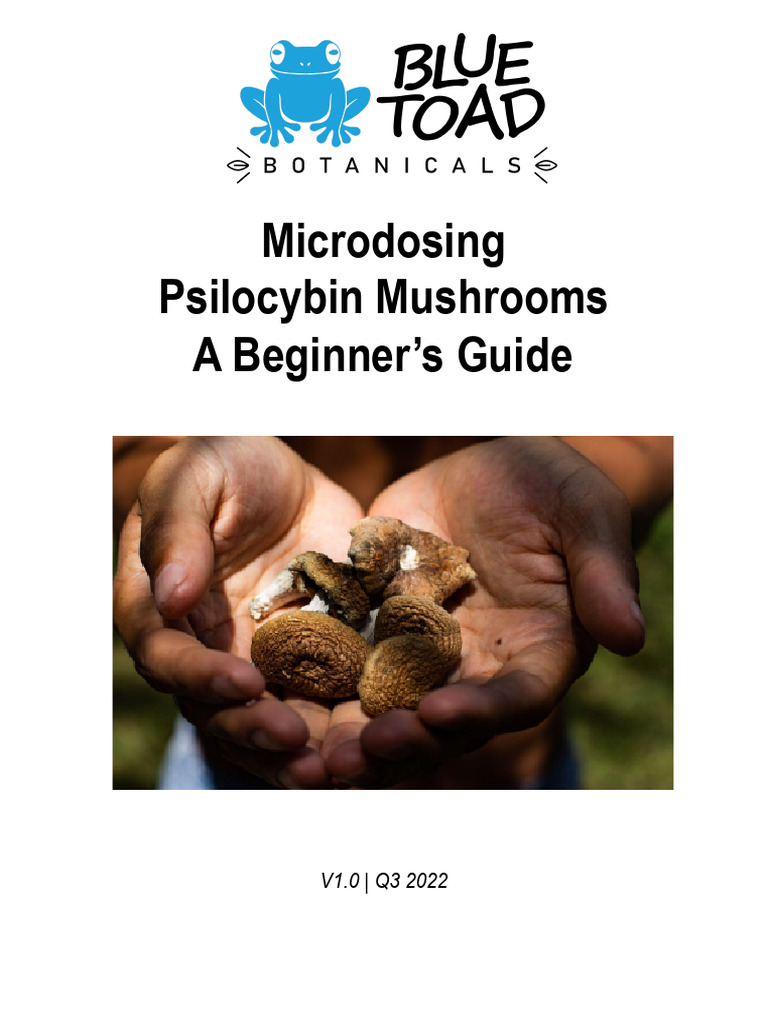 Blue Toad Microdosing Guide 2022 | PDF | Psilocybin | Psychedelic Drugs