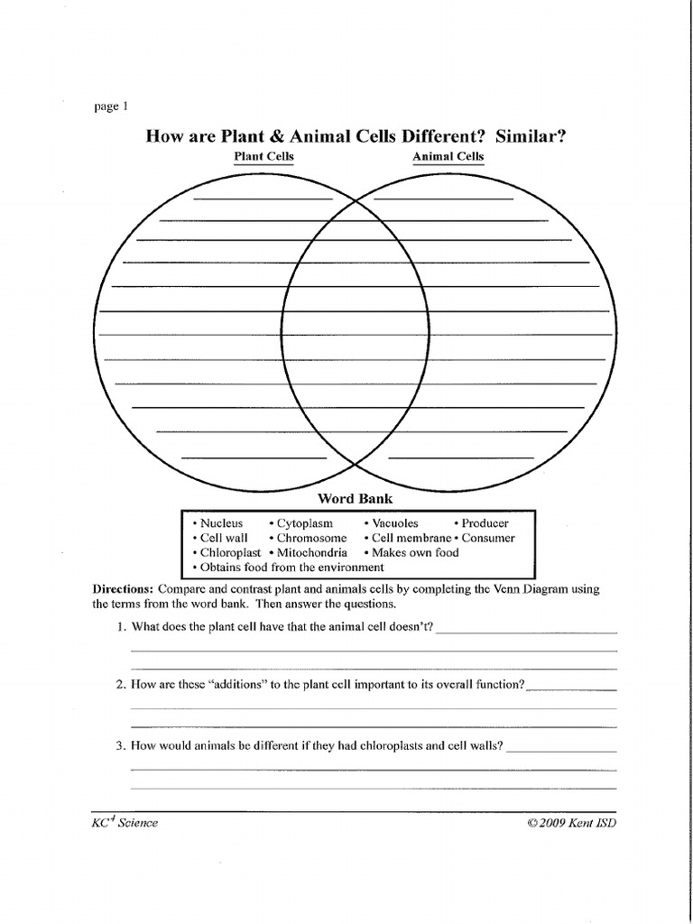 Cell Venn Diagram | PDF