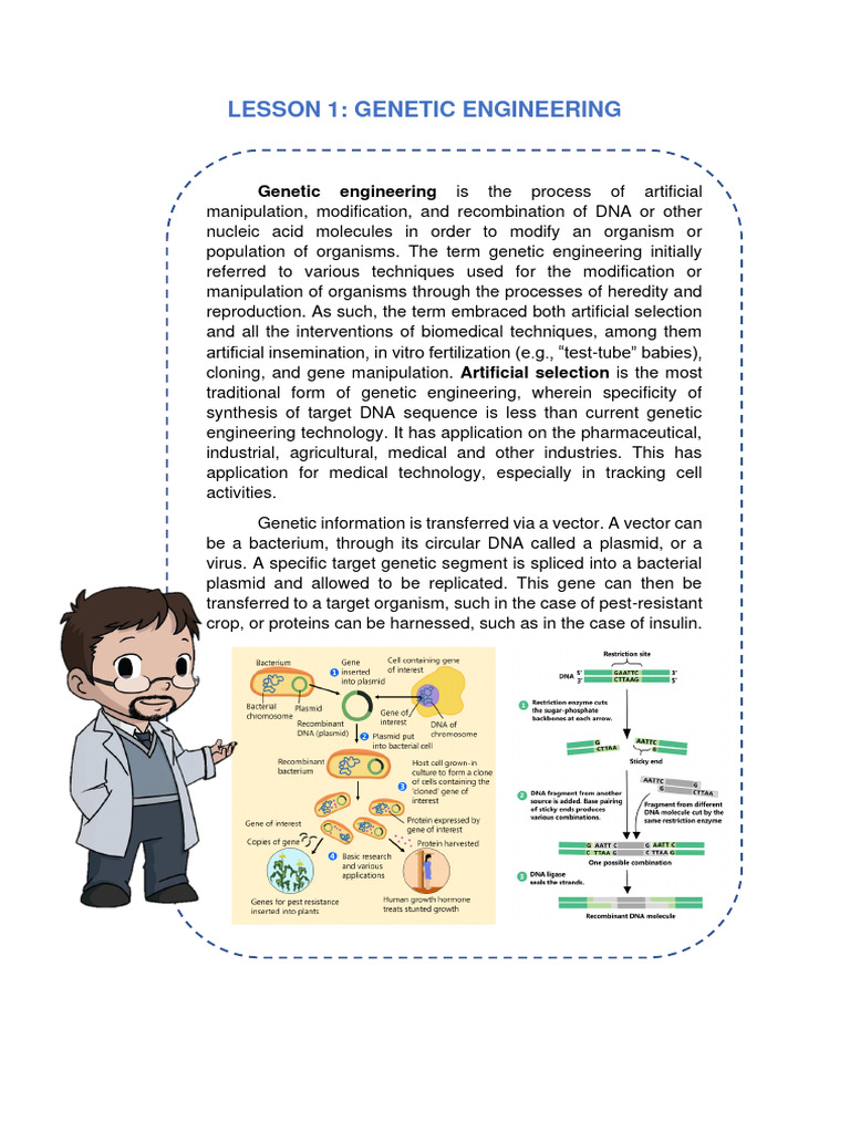 Genetic Engineering Overview and Techniques | PDF | Restriction Enzyme ...