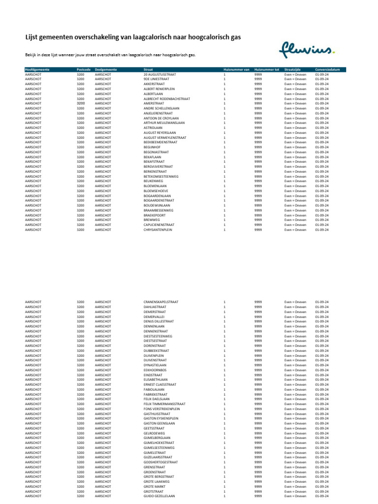 Conversie Laag Naar Hoog Calorisch Gas | PDF