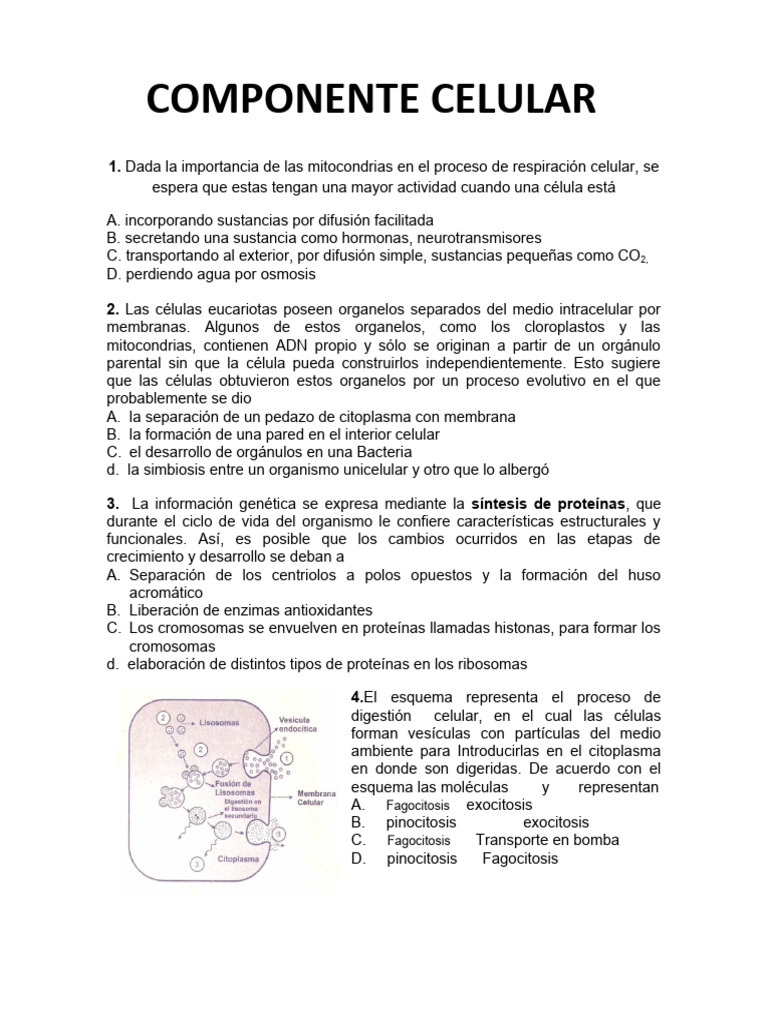 Cuestionario para examen de la celula parte 1 | PDF | Biología Celular ...