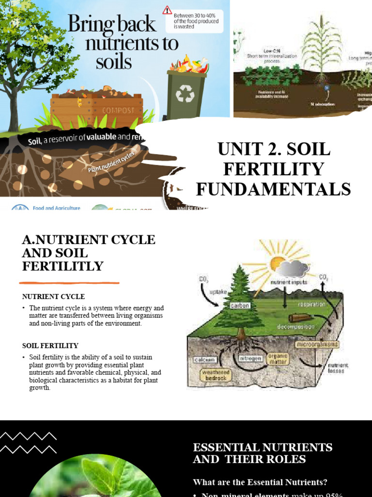 Soil Fertility and Nutrient Cycle Final | PDF
