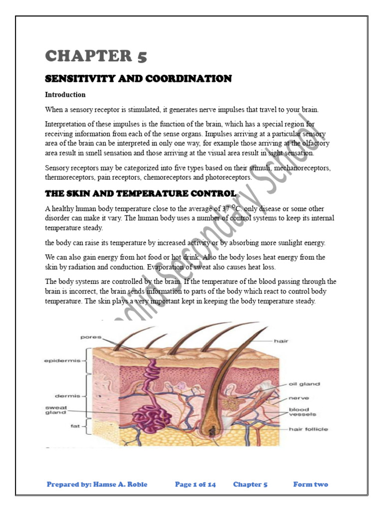 CHAPTER5 Form2 | PDF