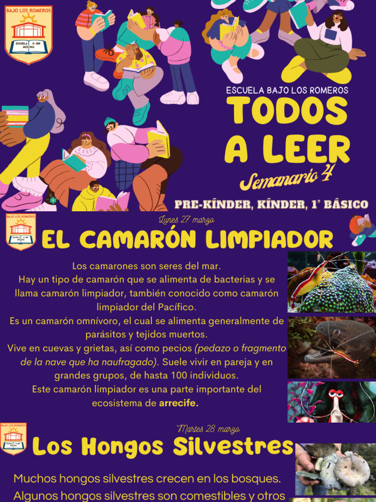 Todos a leer semanario 4 PK, K, 1° | PDF | Chocolate | Maíz