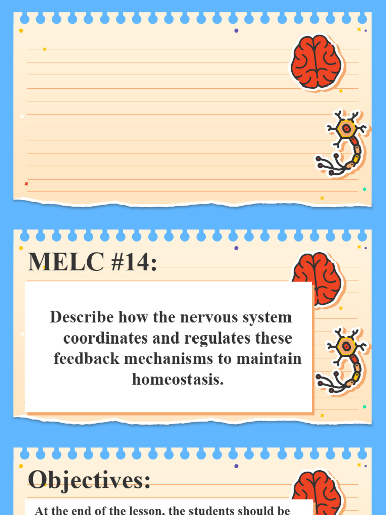 Nervous System and Homeostasis Explained | PDF | Homeostasis | Feedback