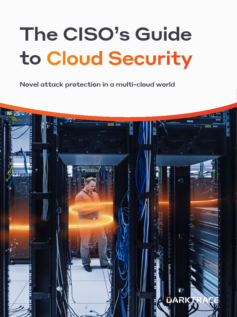 653a78d624f41929faf4fa69 - The CISOs Guide To Cloud Security - Darktrace | Download Free PDF ...