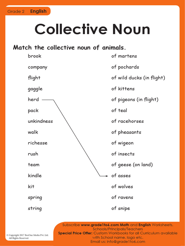 Collective Nouns of Animals | PDF