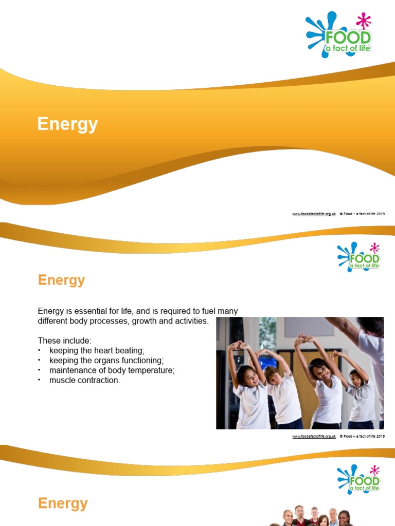 Energy PPT 1114he2 | PDF