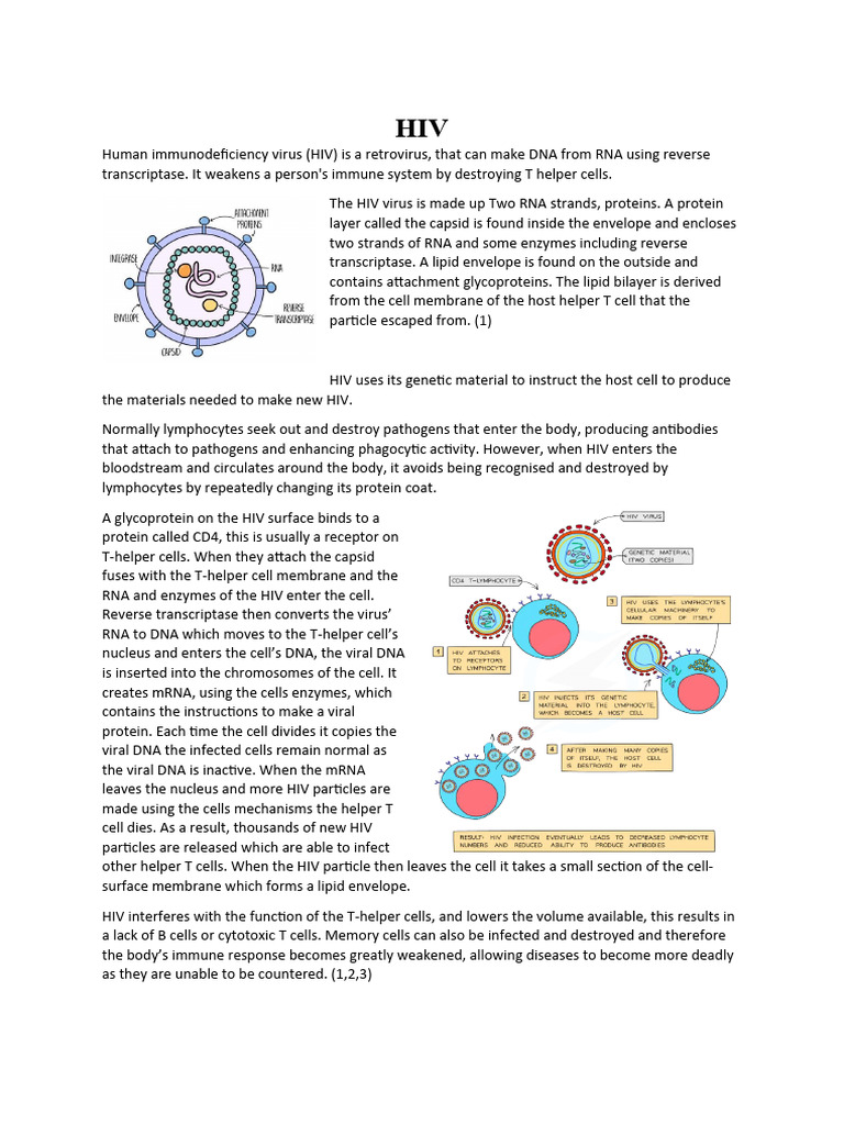 HIV | PDF | Hiv | Virus