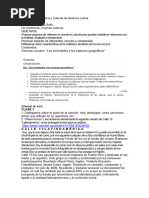 Análisis Latinoamérica Calle 13 | PDF