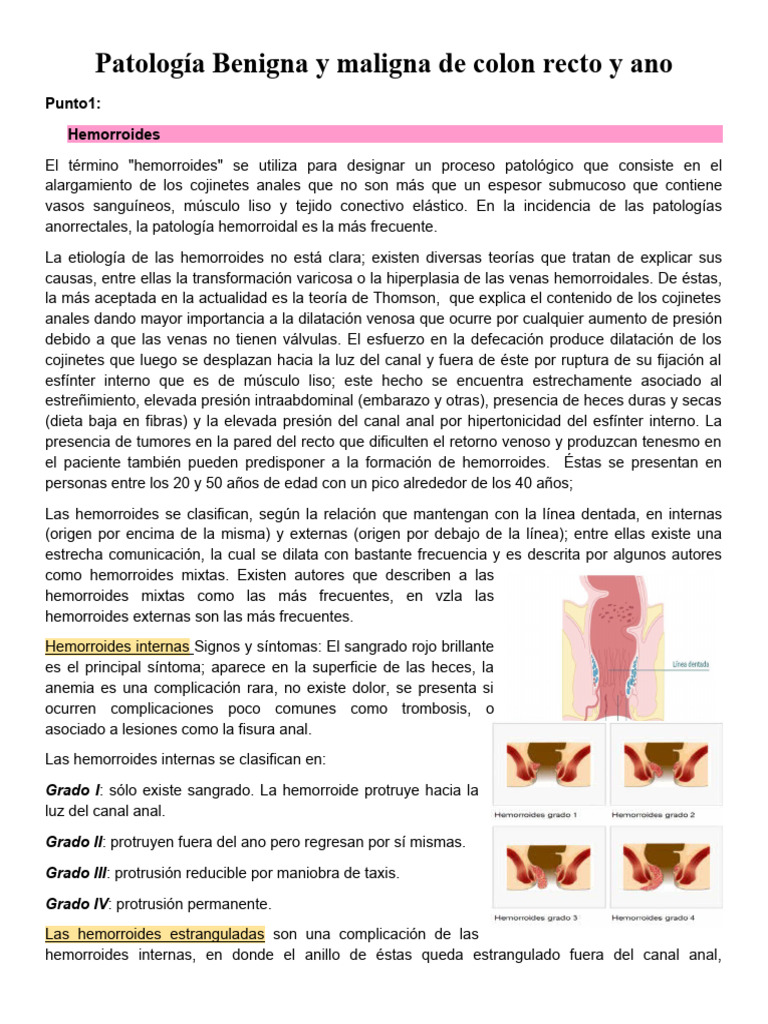 Patologia de Colon, Recto y Ano | Descargar gratis PDF | Hemorroides ...